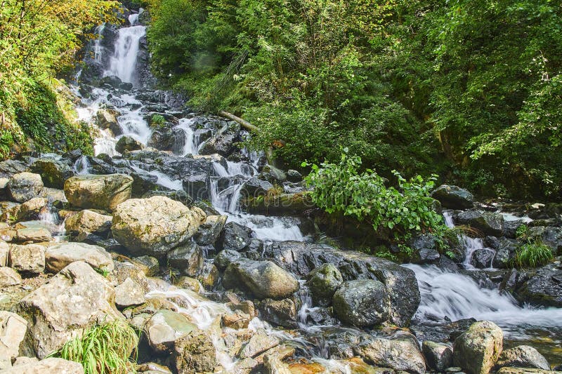 Mountain Waterfall in the Forest, a Large Noisy Stream of Water, a Wild ...