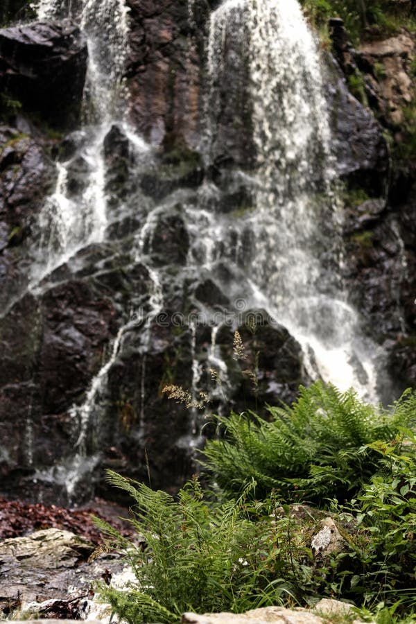Mountain Waterfall. Waterfall in the Mountains in Summer Stock Photo ...