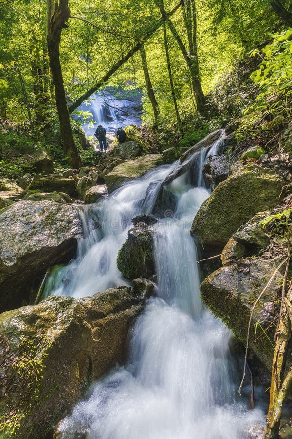 Mountain Waterfall in Spring Forest Stock Image - Image of natural ...
