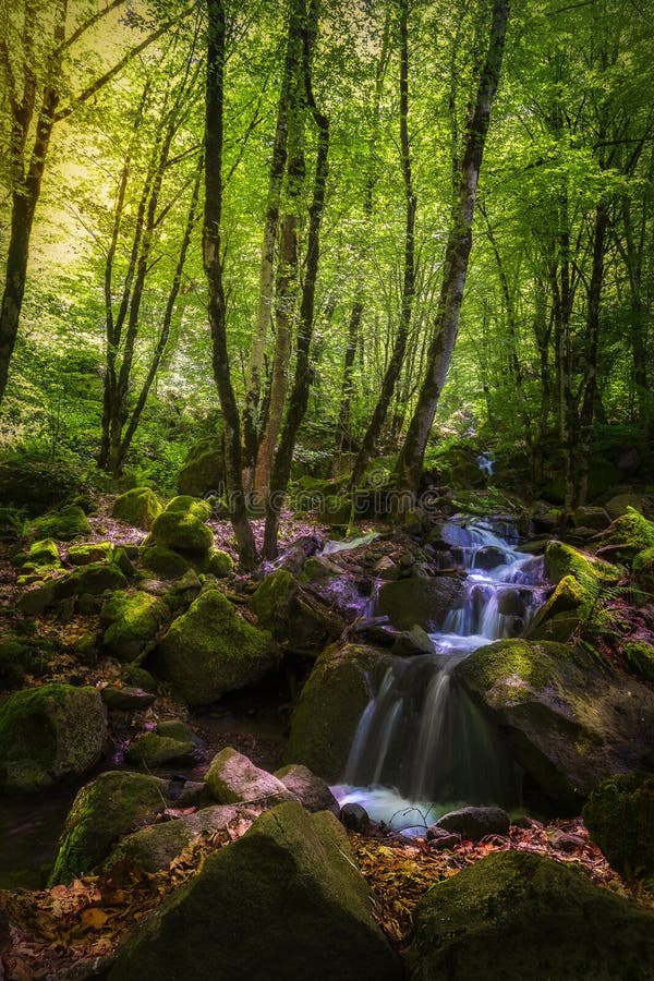 Mountain Waterfall in Spring Forest Stock Image - Image of natural ...