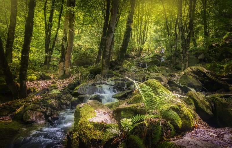 Mountain Waterfall in Spring Forest Stock Image - Image of natural ...