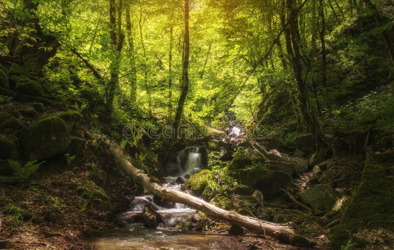 Mountain Waterfall in Spring Forest Stock Image - Image of natural ...