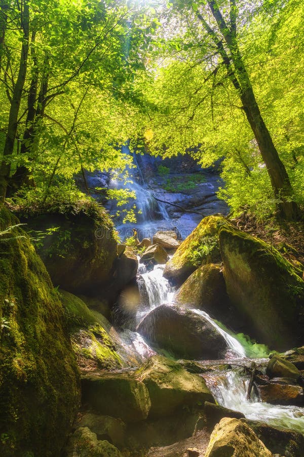 Mountain Waterfall in Spring Forest Stock Image - Image of natural ...