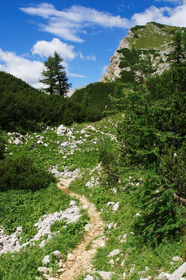 The Mountain Way stock image. Image of pine, peaceful - 7373069