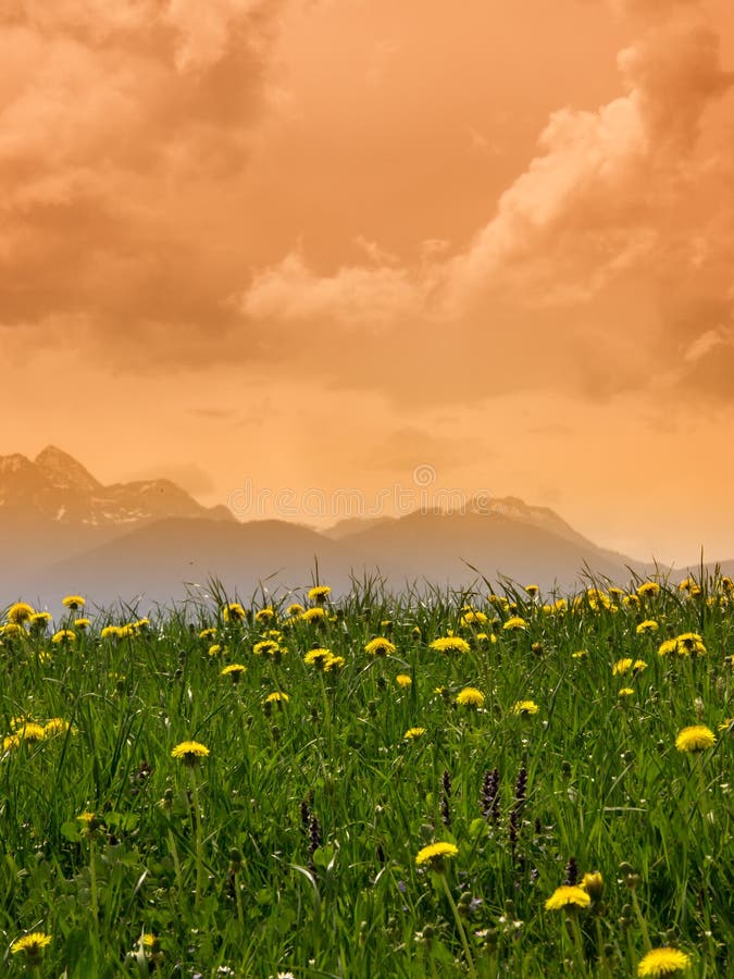 Mountain wendelstein (46) stock photo. Image of rock - 37901850