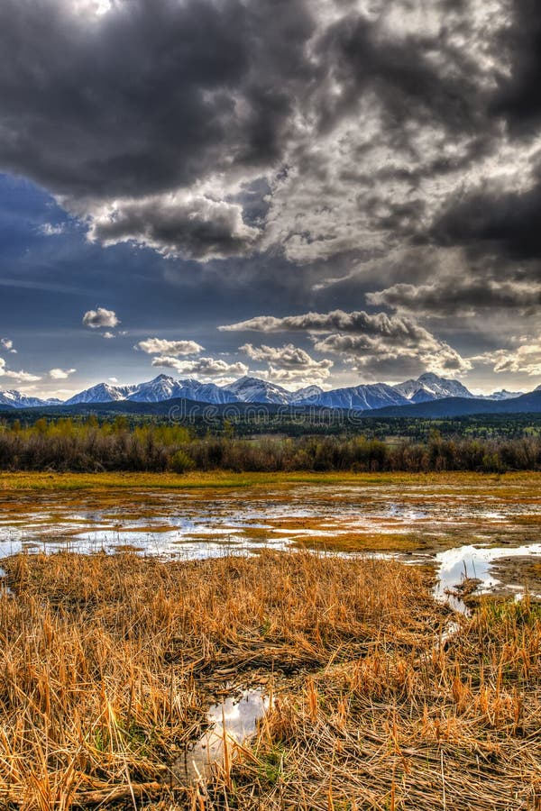 Mountain wetlands stock image. Image of countryside, mountainside - 6681511