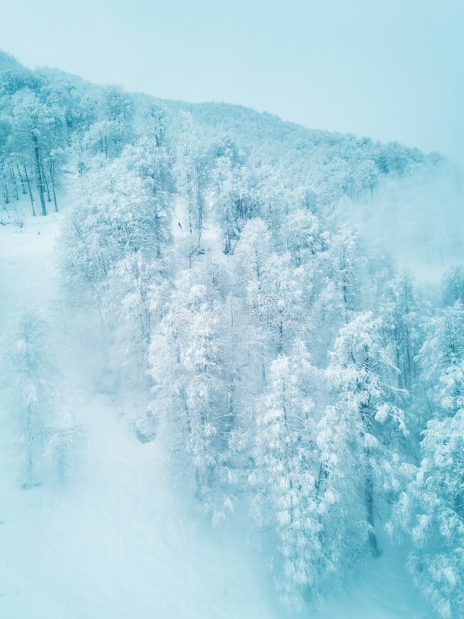 Mountain Winter Forest in Snow Stock Photo - Image of freeze, rural ...