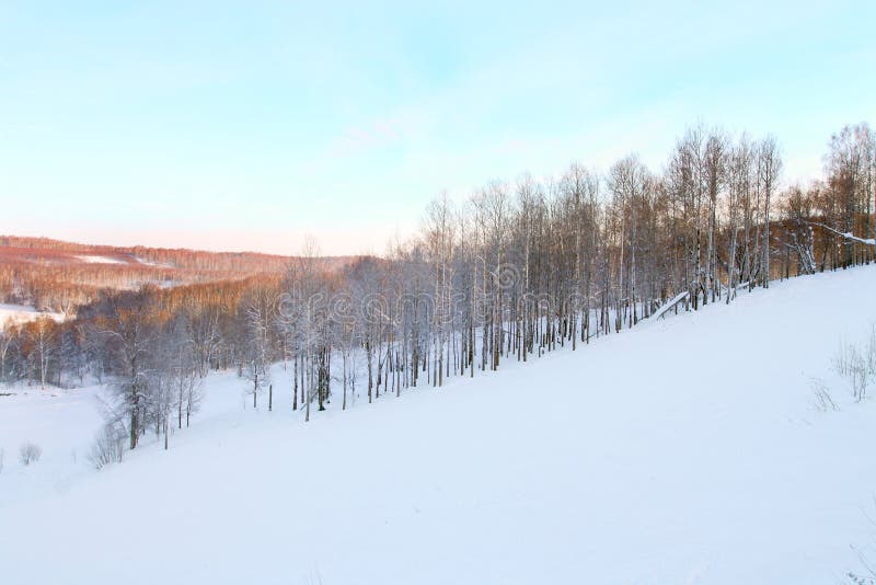 Mountain Winter Landscape with Snow and Trees Stock Image - Image of ...