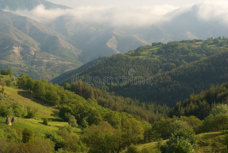 Mountain and woods stock image. Image of countryside - 18195609