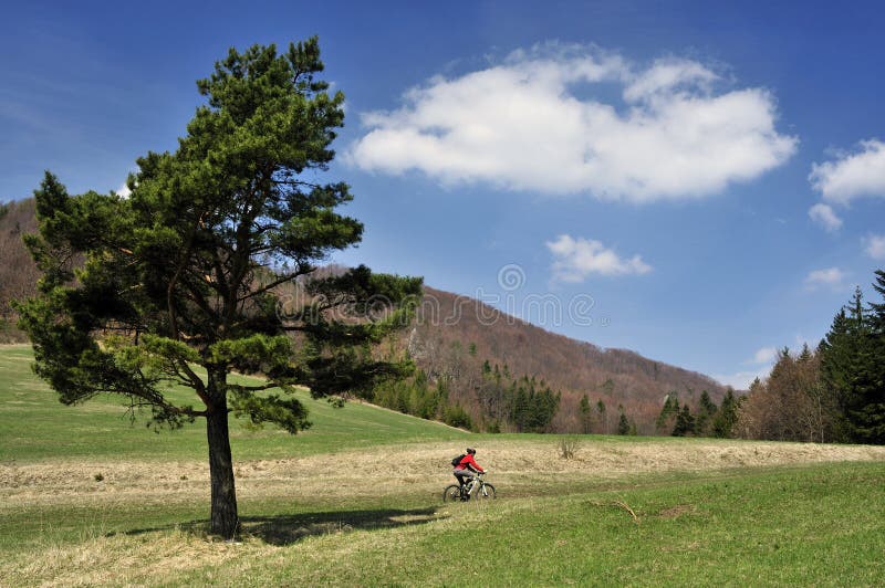 Mountainbiking stock image. Image of nature, muffler - 19301191