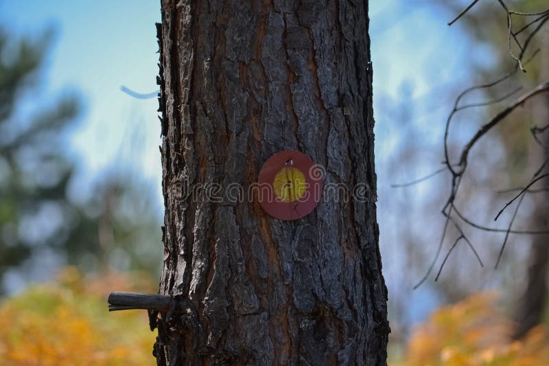 Mountaineering label stock image. Image of blue, flower - 332775117