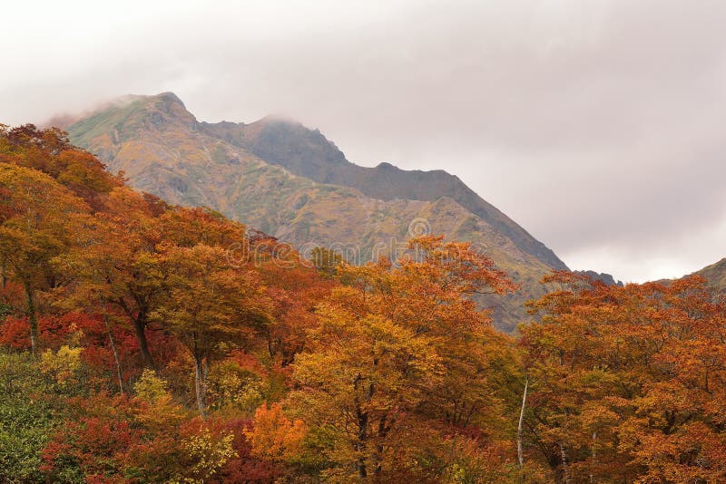 Mountainous Autumn Landscape in Japan Stock Image - Image of ...