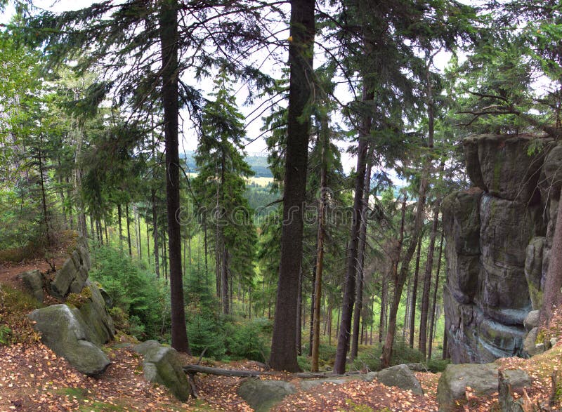 Mountainous Forest Path - High Resolution Picture Stock Image - Image ...