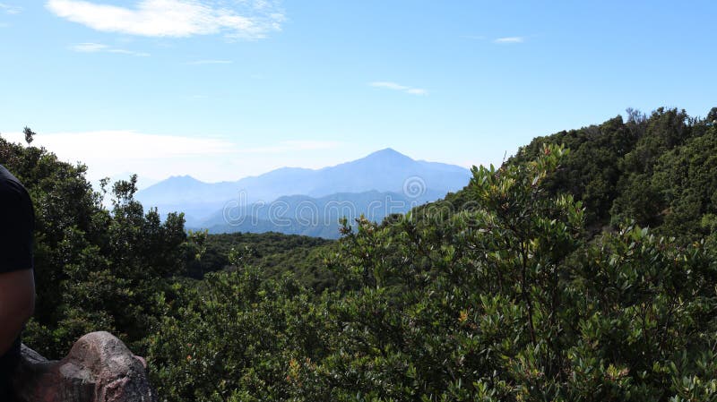 Mountainous Landforms, Mountain, Vegetation, Wilderness Stock Image ...