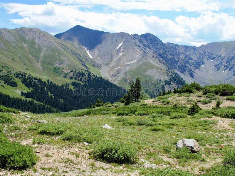 Summer View of Mountain Peaks in an Alpine Setting in Colorado Stock ...