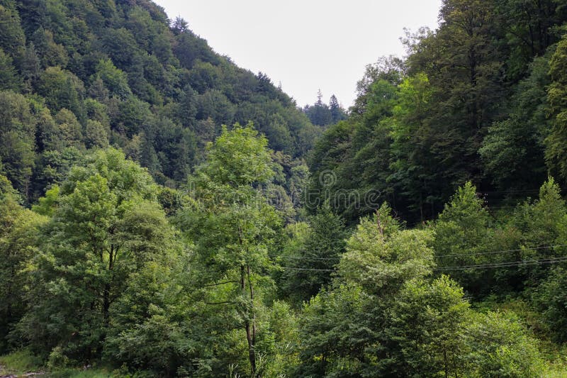 Mountainous Landscape of a Valley with Forest Cover Stock Photo - Image ...