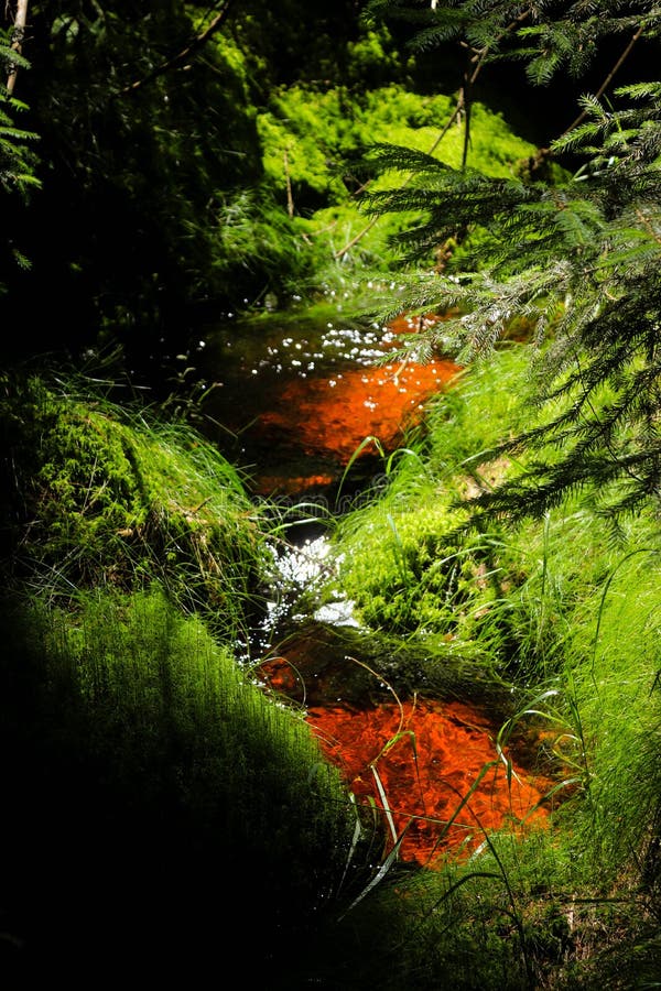 Mountainous Mineral Stream Colored Orange in Adrspach Stock Image ...