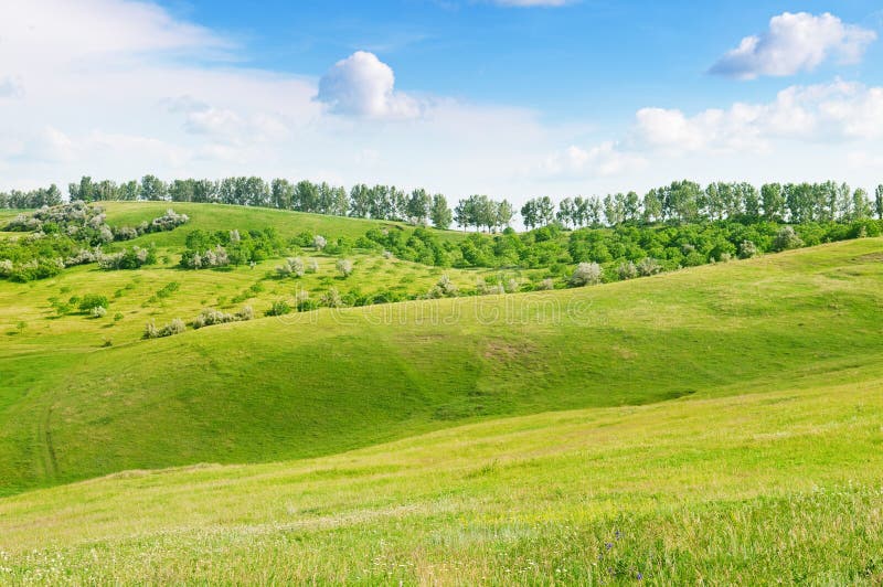 Mountainous terrain stock image. Image of meadow, pasture - 32056443