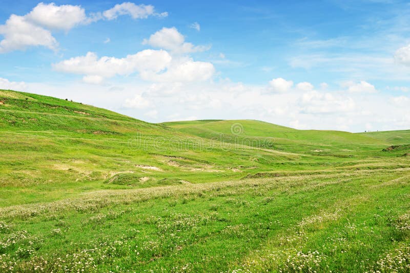 Mountainous terrain stock photo. Image of nature, pasture - 24872526