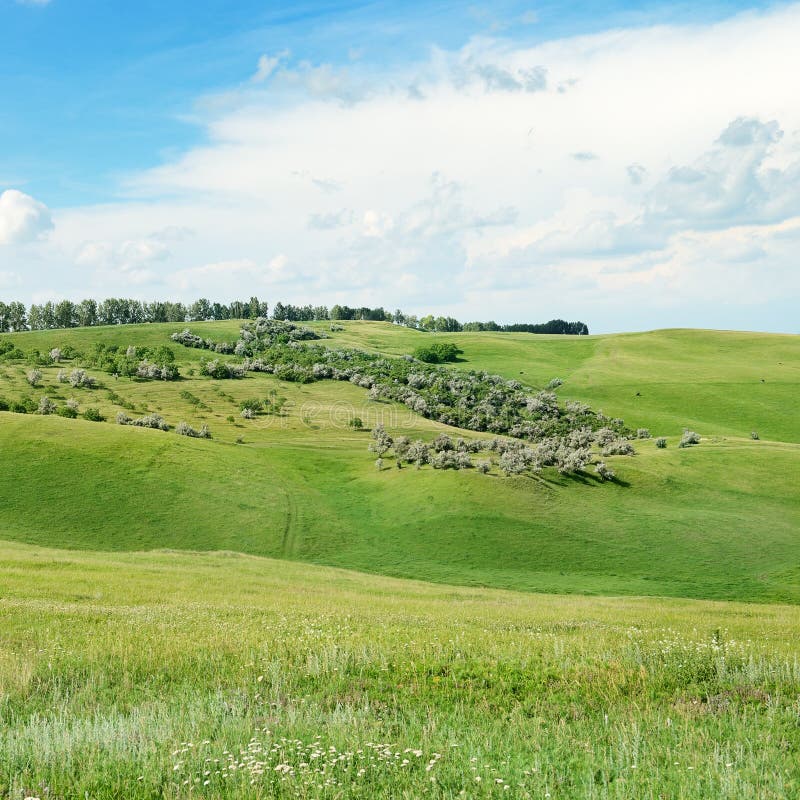 Mountainous terrain stock photo. Image of nature, pasture - 24872526