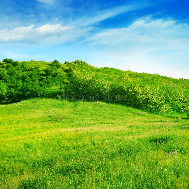 Mountainous terrain stock photo. Image of nature, pasture - 24872526