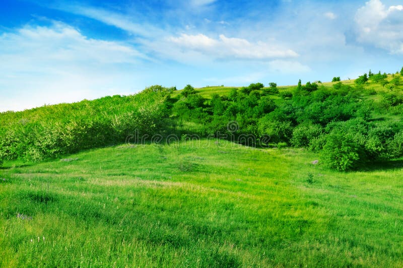 Mountainous terrain stock photo. Image of nature, pasture - 24872526