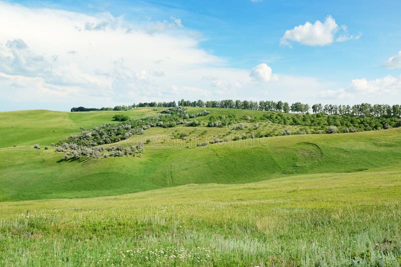 Mountainous terrain stock photo. Image of nature, pasture - 24872526