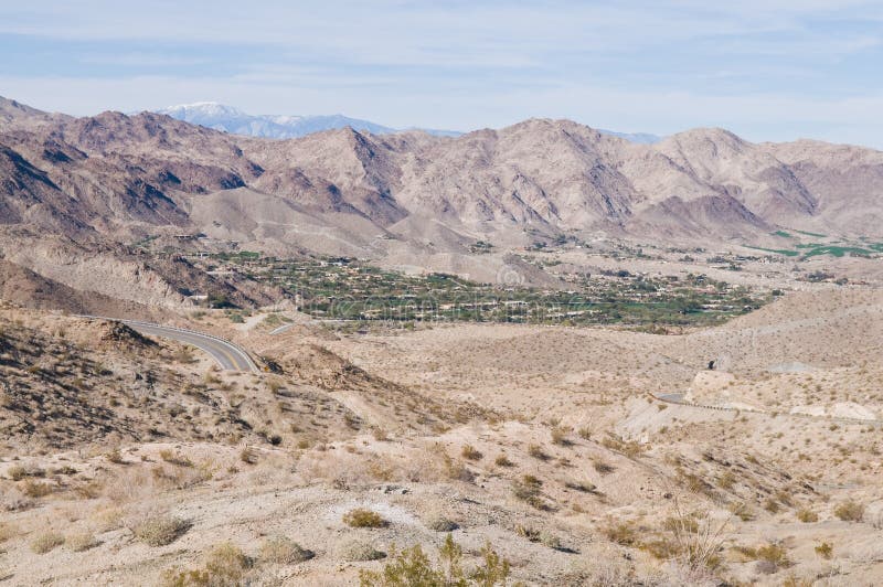 Joshua Trees and the Grand Wash Cliffs, Meadview, Arizona Stock Photo ...