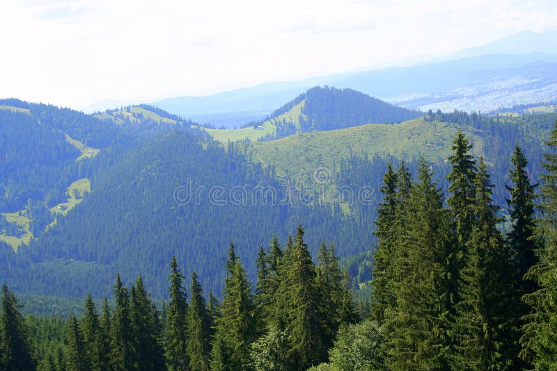 Vatra Stock Illustrations – 30 Vatra Stock Illustrations, Vectors ...