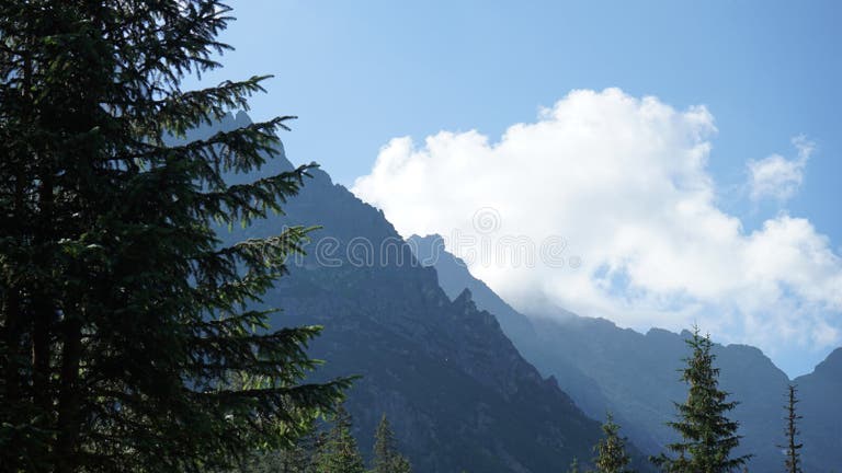 Aforest Basketball Stock Photos - Free & Royalty-Free Stock Photos from ...