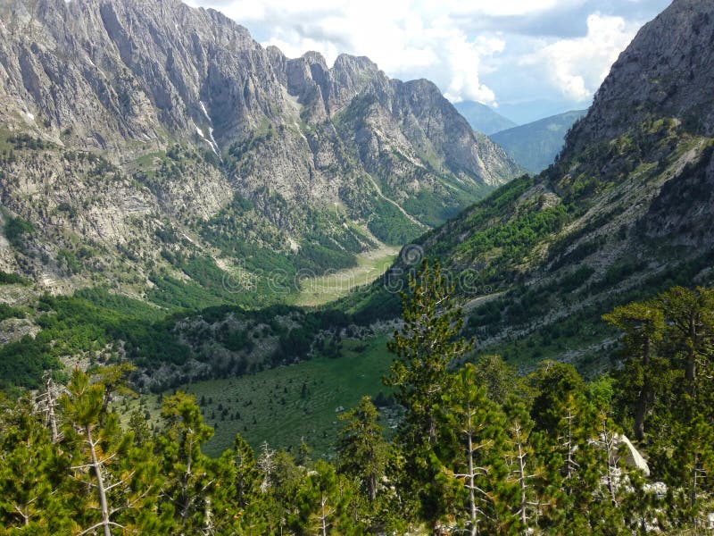Mountains of the Albanian Alps Stock Image - Image of flowers, alps ...
