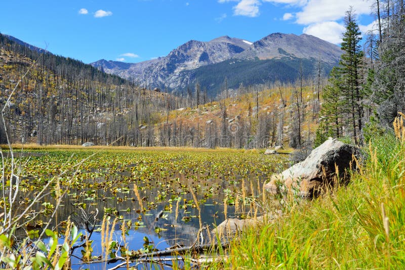 Mountains and Alpine Lake in the Fall Stock Photo - Image of resolution ...