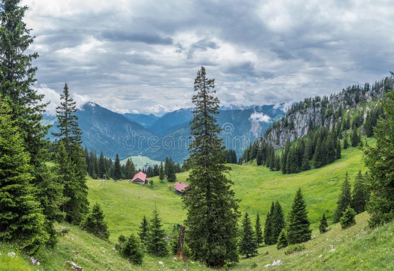The Mountains of Alps in Bavaria, Germany Stock Image - Image of pine ...
