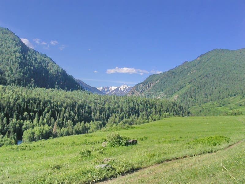 Mountains Altai stock image. Image of altai, forest, sunny - 39589335