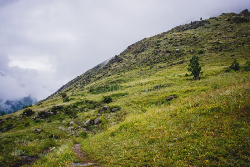 Mountains of Altay stock image. Image of flover, valley - 41151023