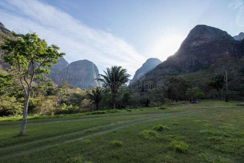 Mountains in Amazon Rainforest in Bolivia Stock Photo - Image of summer ...