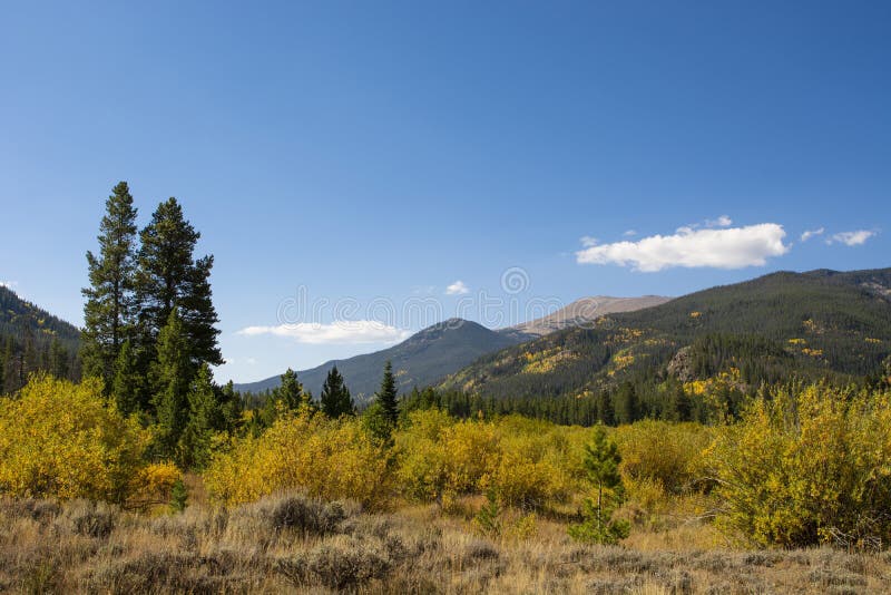 Mountains Aspen Forest Pine Trees Blue Sky Stock Image - Image of ...
