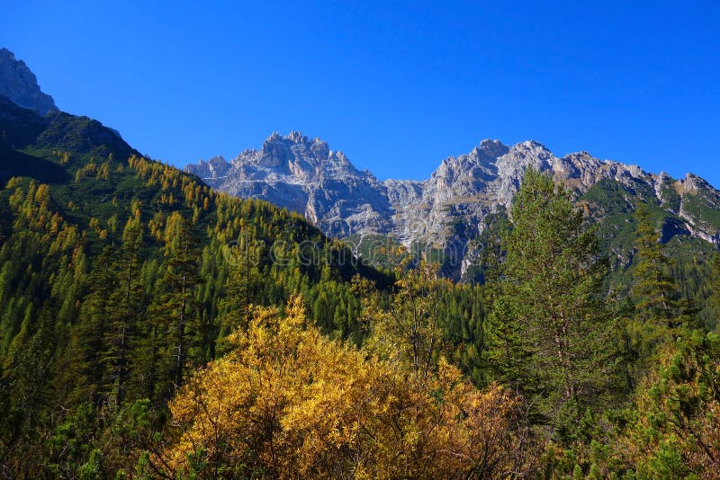 Mountains in autumn stock photo. Image of trees, morning - 101548646
