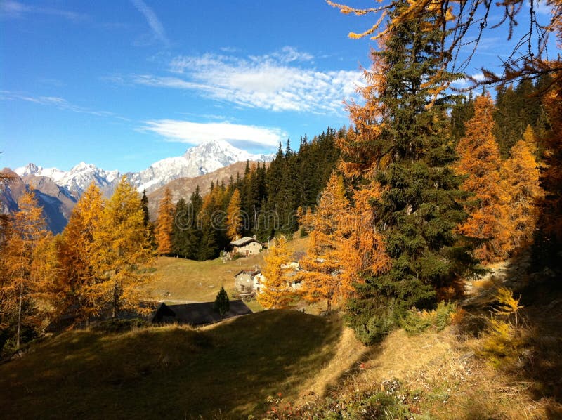 Mountains autumn trees stock image. Image of green, orange - 66784931