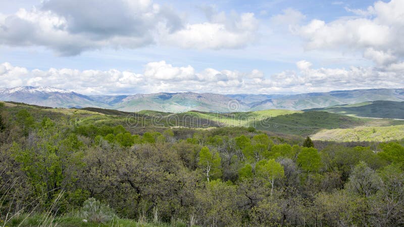 Mountains in Background with Utah Mountains with Rolling Green Hills ...