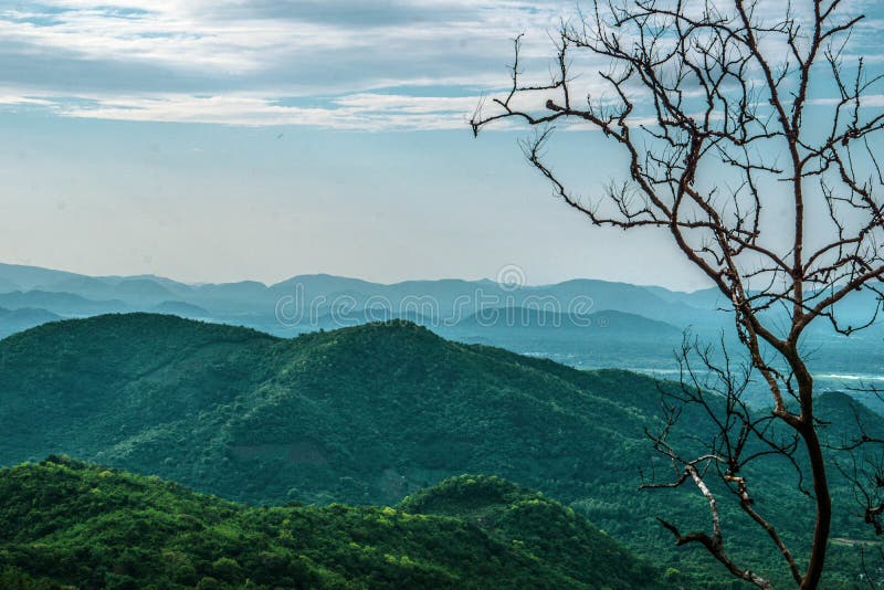 Mountains Behind the Tree Covered in Forests Stock Photo - Image of ...