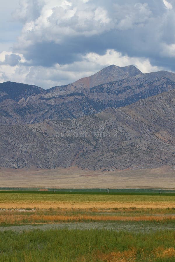 Mountains Beyond Idaho Farmland Stock Image - Image of plains, massive ...