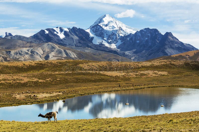 Mountains in Bolivia stock image. Image of meadow, glacier - 32138983