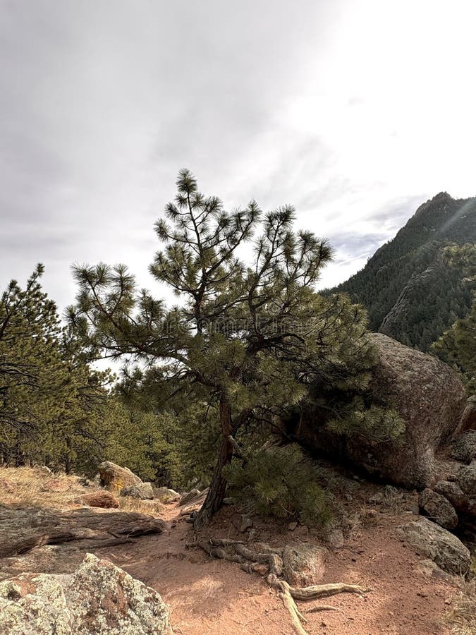 The Mountains of Boulder Colorado in November Stock Image - Image of ...