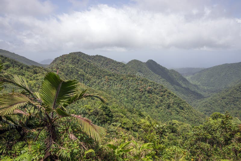 Mountains on Caribbean Island of Dominica Stock Photo - Image of exotic ...