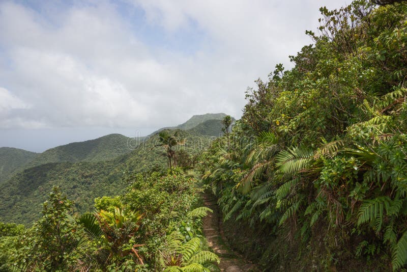 Mountains on Caribbean Island of Dominica Stock Image - Image of ...