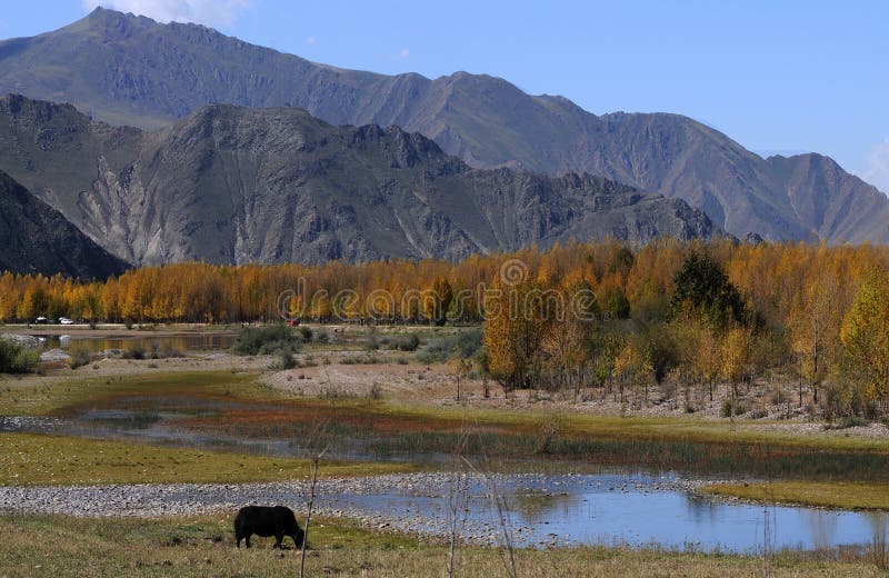 Mountains in China stock photo. Image of moutains, china - 47875204