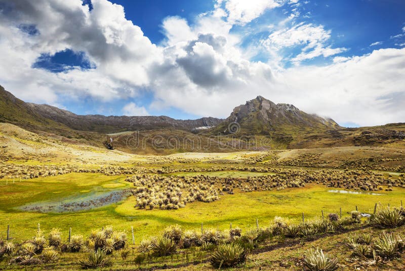 Mountains in Colombia stock photo. Image of alpine, hills - 281746092