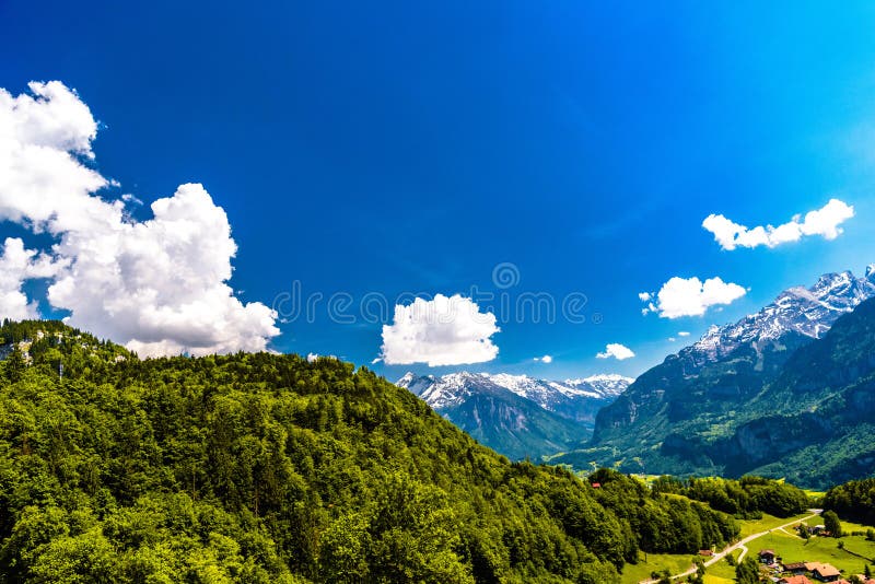 Mountains Covered with Forest, Brienz, Interlaken-Oberhasli, Bern ...
