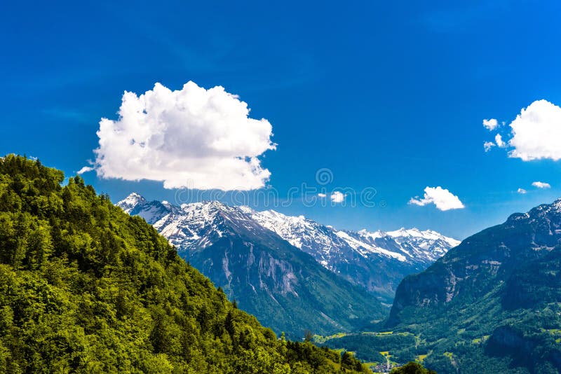Mountains Covered with Forest, Brienz, Interlaken-Oberhasli, Bern ...